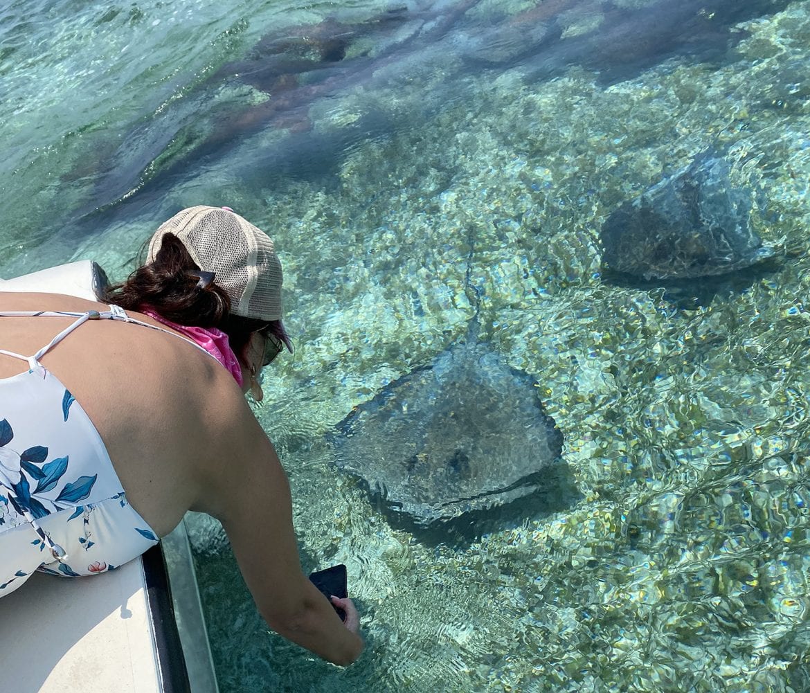 Get Friendly with Caye Caulker's Stingrays and Nurse Sharks
