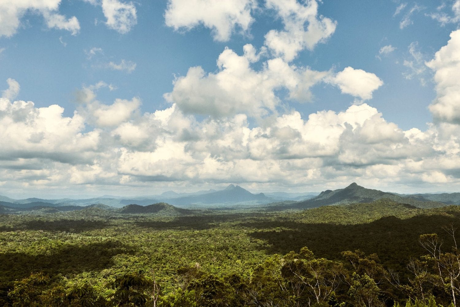 4 Reasons Why Wildlife Enthusiasts Love Belize