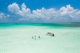 Fly Fishing in Belize – Everything You Need To Know
