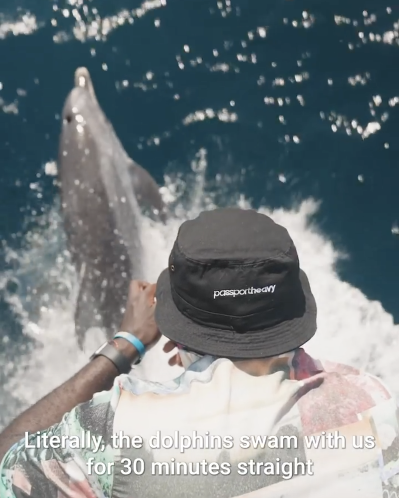 Passport Heavy shown best of Southern Belize with Splash Dive Center
