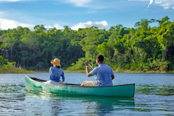 Belize’s Famous Royal Rat: Foodies Love Gibnut Seasoned & Stewed
